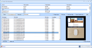 Puran File Recovery Review: Pros & Cons (2024)